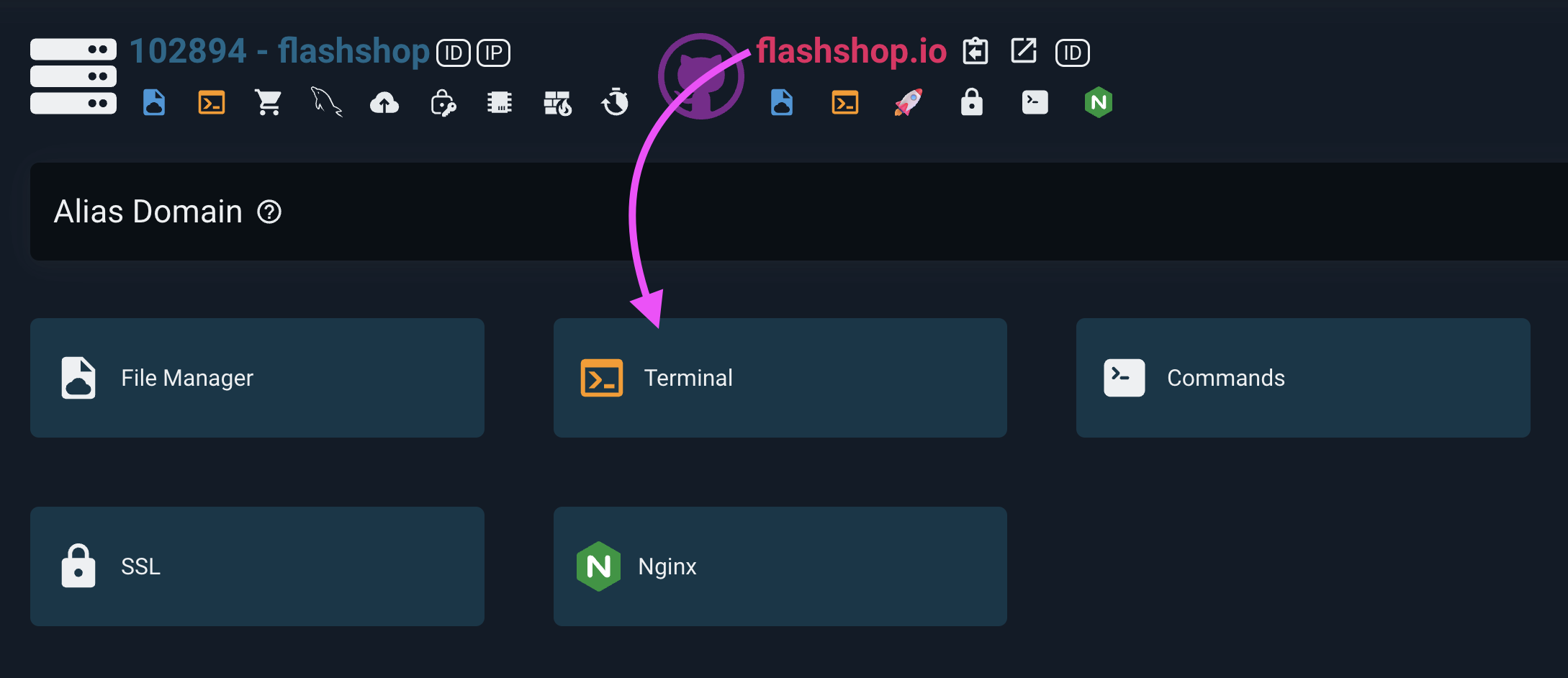 Deploy ASP.NET website | FlashPanel